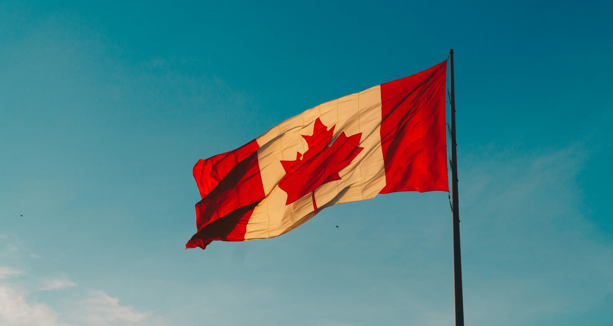 Best CBD Oil in Canada: Top 5 Brands & Trusted Reviews 2025